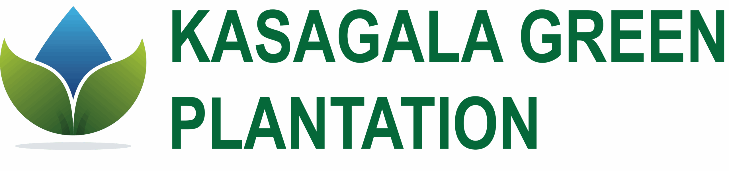 Plantation – Kasagala Group Of Companies